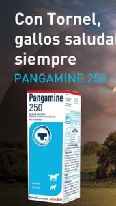 Tornel Pangamine 250 30ml – Productos para gallos