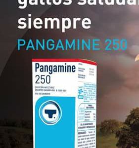 Productos – Página 16 – Productos para gallos