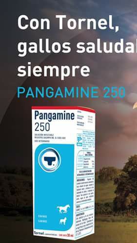 Tornel Pangamine 250 30ml – Productos para gallos